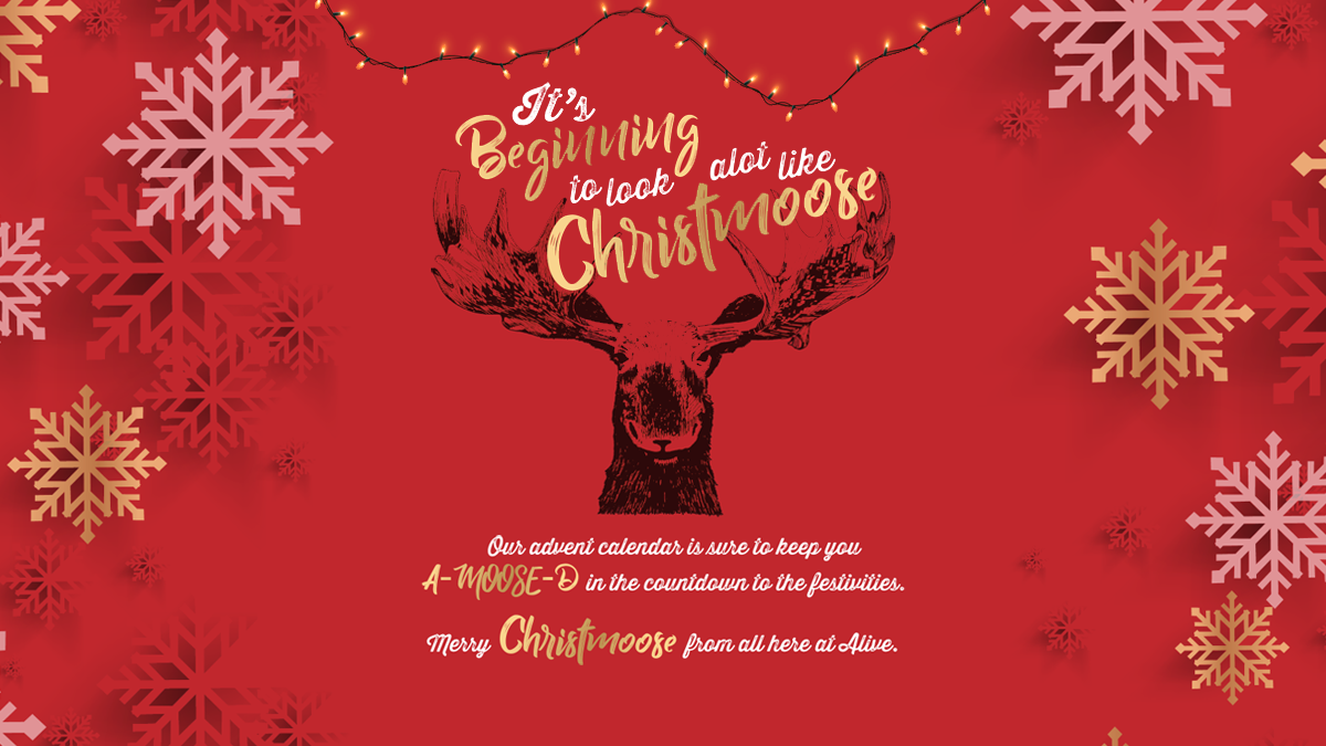 Alive With Ideas - Christmoose Countdown Calendar