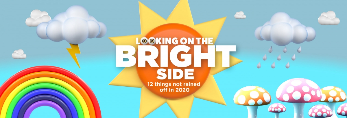Alive With Ideas - Blog - INFOGRAPHIC: The bright side of 2020 💩